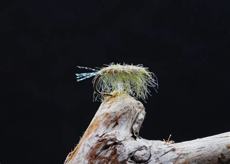 Phil Rowley S Dubbed Scud Pattern Islander Precision Reels