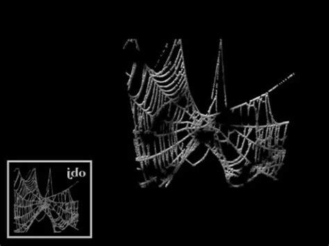 Spider Web Free 3d Model Bryce Obj Open3dmodel