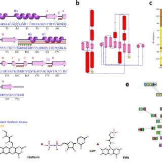 PDF PDBsum Structural Summaries Of PDB Entries