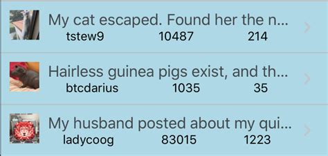 Flexbox Style Subtitle Of Listitem Of React Native Elements Below