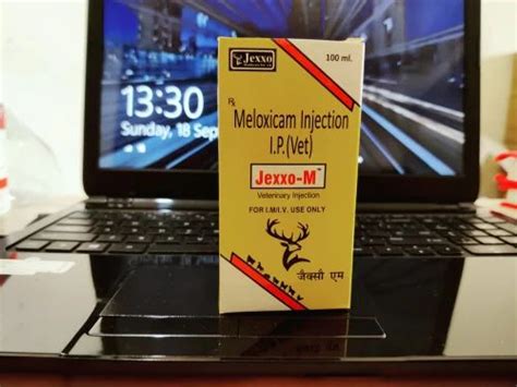Melonex Meloxicam 100 Ml Injection At Rs 108 Piece In Palanpur Id