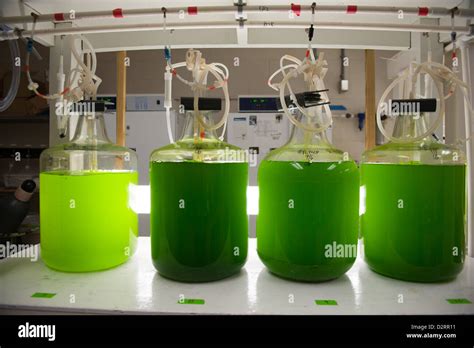 Algal Research