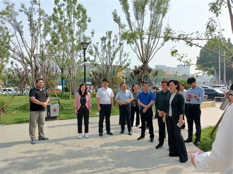 乐居德城安徽池州到德城区学习口袋公园建设经验 知乎