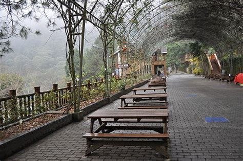 台中和平 八仙山國家森林遊樂園 Tony的自然人文旅記第0828篇