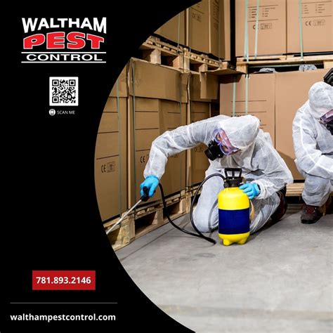 Pest Control Technicians 7 Proven Tips For Success 2025