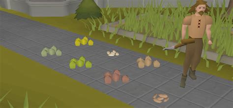 Osrs Whats The Best Way To Get Hop Seeds Fandomspot