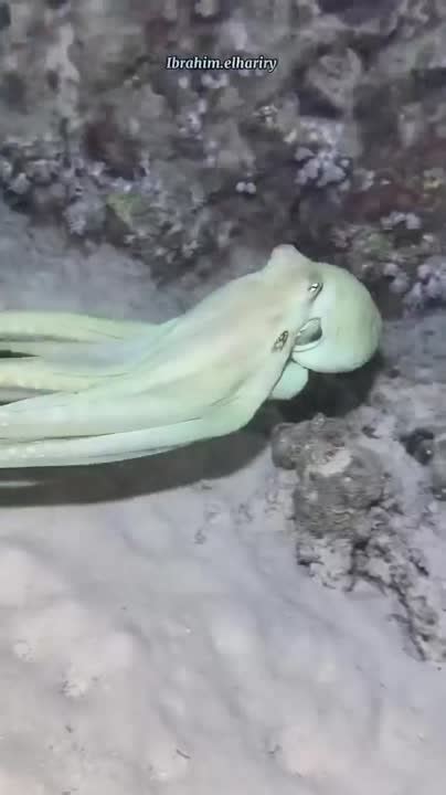 Ataklti Nguse On Linkedin Amazing