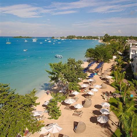 What An Unforgettable Adventure At Hedo 🌴🍹 Review Of Hedonism Ii