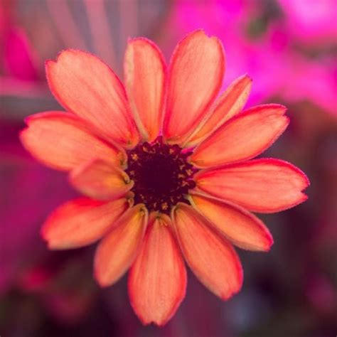 Test Example Youtube