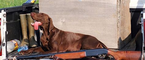 Aritar Bastet Jerry Aritar Bastet Facebook