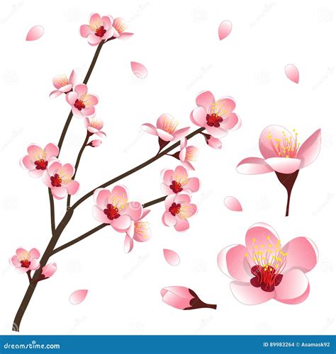 Peach Flower For Tattoo Chinese Flower Vector Hand Drawn Peach Juice