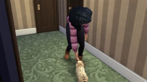 Saps Sims — Bramble And Barb Hanging Out With The Neighbors In