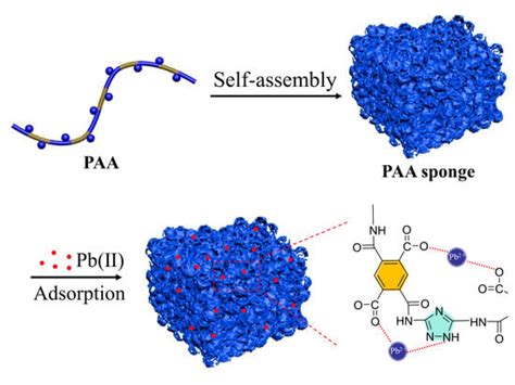 Efficient Removal Of PbⅡ By Highly Porous Polymeric Sponges Self
