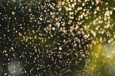 나뭇잎 부드러운 초점 Bokeh 조명과 황금 물 방울의 비의 추상 자연 흐리게 배경 자연 디 포커 싱 배경 창조적 인 디자인에