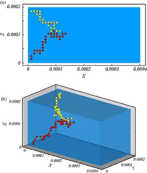 Interaction Between Two Cells Inside A Substrate With Constant Elastic Download Scientific
