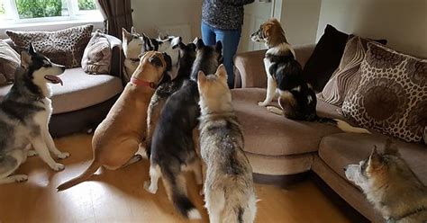 Snack Time Album On Imgur