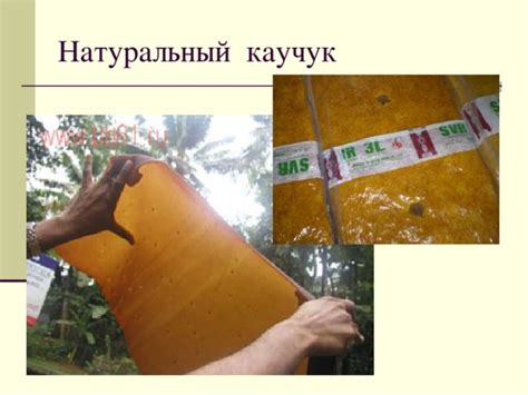 Презентация "Каучук" - Химия - Презентации - СУЗ