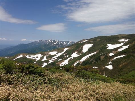 花と残雪と展望の谷川連峰上越国境稜線 谷川岳馬蹄形縦走 2日間アルパインツアー海外国内のハイキングトレッキング登山ツアー