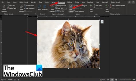 Cómo insertar un título en Word