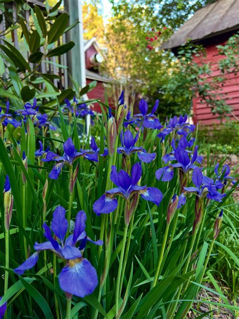 Glen Ella Springs Glen Ella Springs Hotel And Restaurant