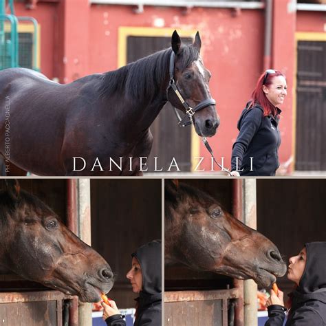Varenne Daniela Zilli Dopo Una Lunga Esperienza Nel Facebook