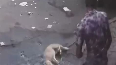 Mumbai Man Caught Brutally Beating Pet Dog With Spanner In Cctv