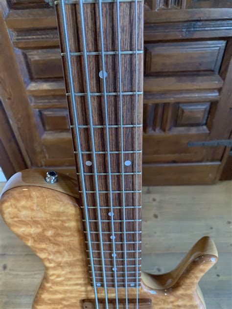 Jacaranda Custom 5 String Bass Basses For Sale Basschat