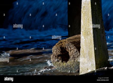 Holz in wasser Fotos und Bildmaterial in hoher Auflösung Alamy