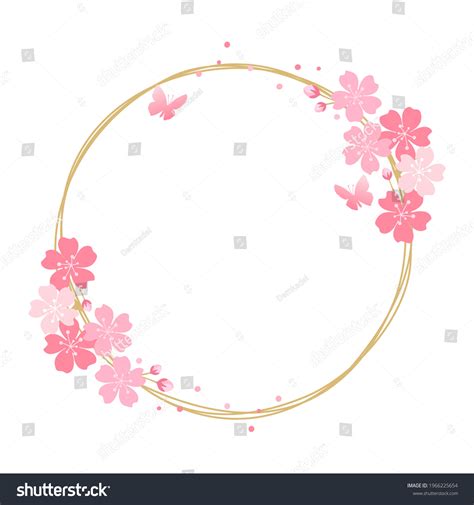 Sakura Circle Frame Isolated On White Stock Vector Royalty Free