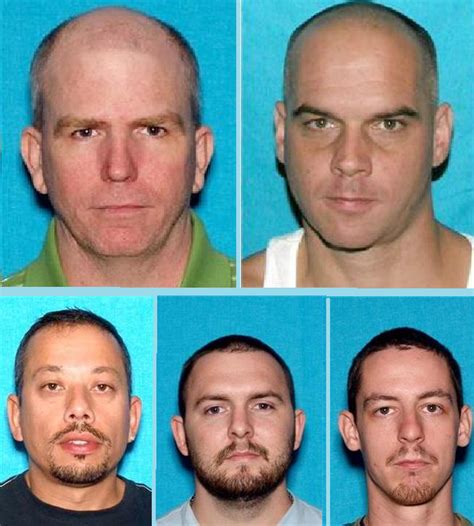 Kingsport Police Seek To Locate 5 Sex Offenders