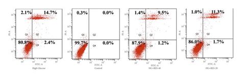 Effects Of RES On Cell Apoptosis In HG Treated H C Cells H C Cells