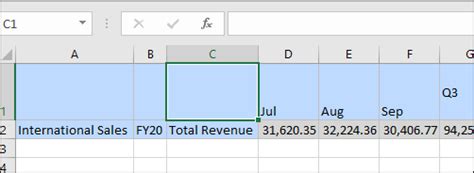 Analyzing Plan Data In Smart View