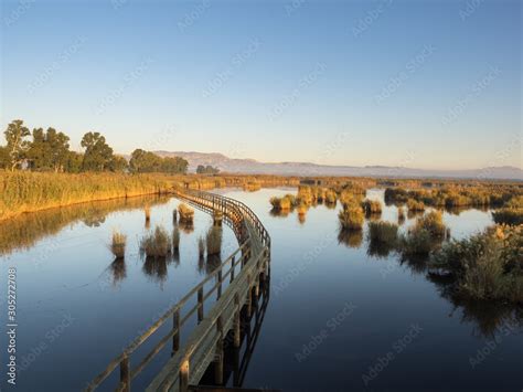 Camino De Madera Sobre Las Aguas Del Humedal De La Laguna Parque
