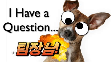 Q A 왜 내가 사면 떨어지고 팔면 오를까 똥손 근절을 위한 특단의 조치 YouTube