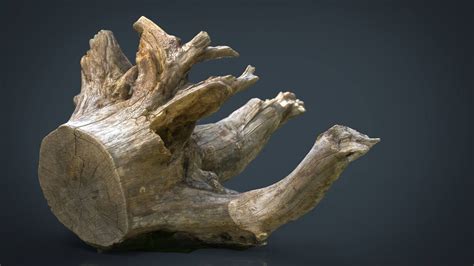 Dead Trunk 2 3d Model By Sanchiesp