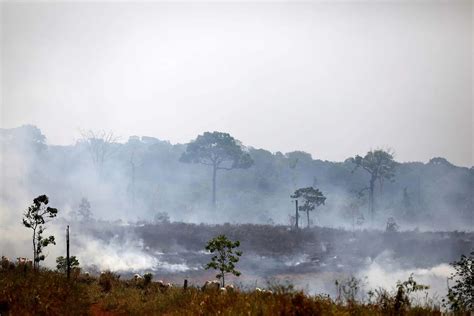 Incendios En El Amazonas Impresionantes Imágenes De La Selva Arrasada