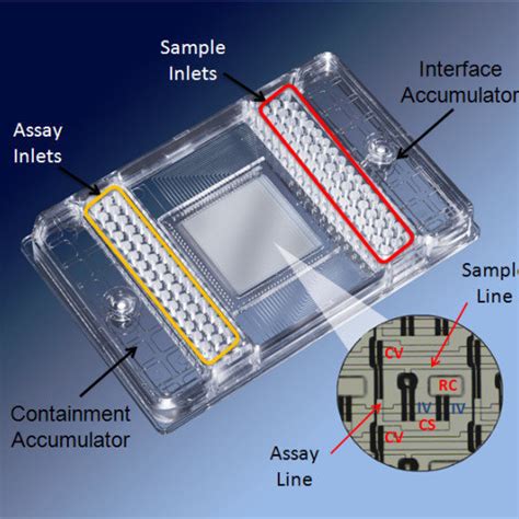 Snp Genotyping Data Analysis The Fluidigm Snp Genotyping Analysis