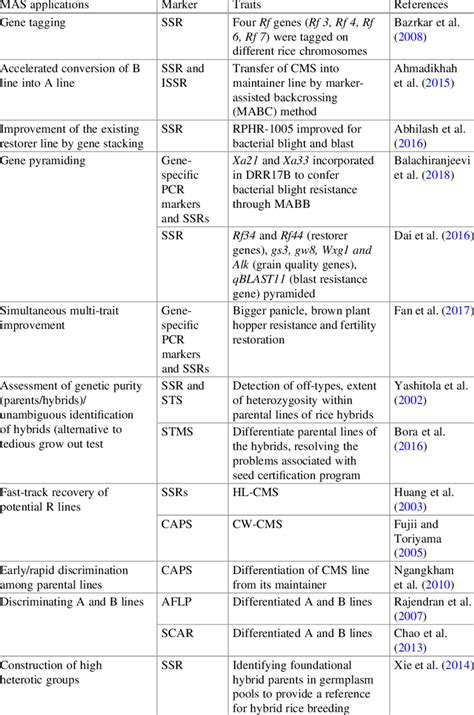 Applications Of Molecular Marker Assisted Selection In Rice Hybrid