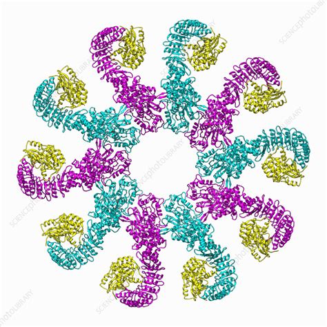 Inflammasome Disk Illustration Stock Image C0575122 Science