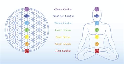 Chakra Ui