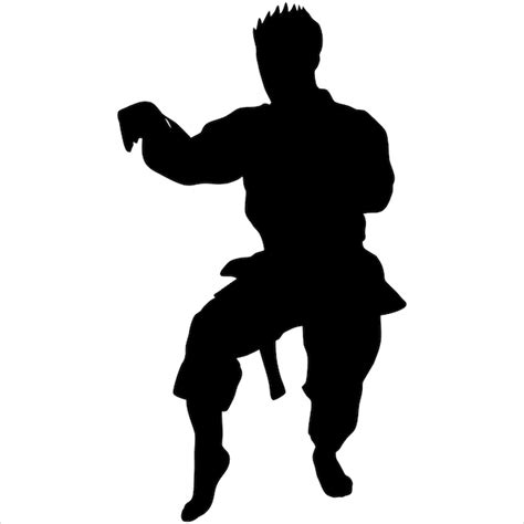 Karate Kick Und Posen Von Karate Techniken Kampfkunst Dieser Vektor