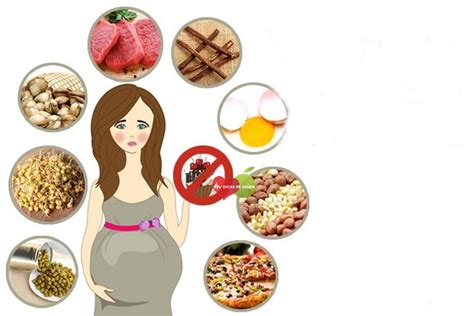 Os 15 Alimentos Que Devem Ser Evitados Durante A Gravidez