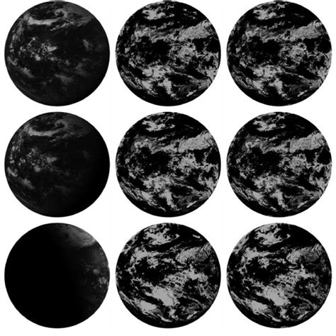 four class prediction results the left images are the input image the