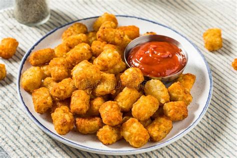 Homemade Baked Tater Tots Potatoes Stock Image Image Of American