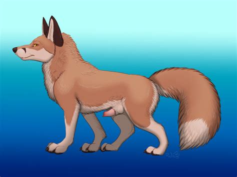 Rule 34 2015 Canine Feral Fox Knot Knot In Sheath Looking At Viewer