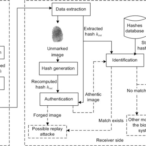 Illustrative Diagram Of A Basic Dra Download Scientific Diagram