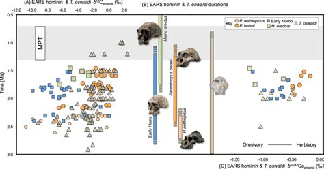 A δ¹³cenamel Values Of Ears Hominins And Theropithecus Oswaldi B