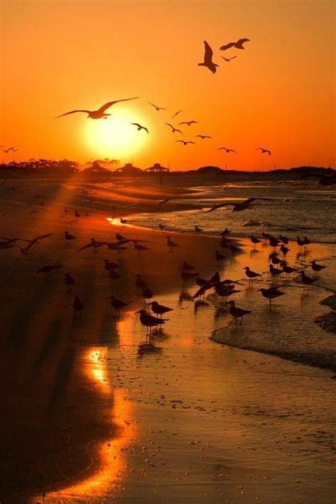 Couche De Soleil Sur La Mer Les Destinations Les Plus Belles Du Monde