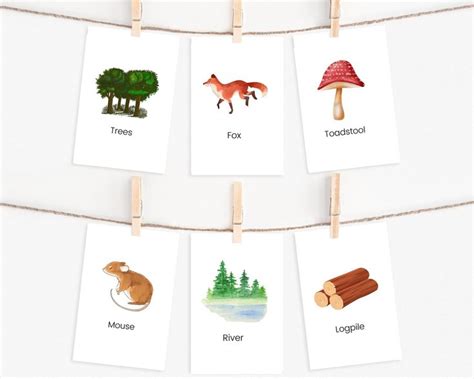 The Gruffalo Story Cards 36 Gruffalo Flashcards Homeschool Montessori