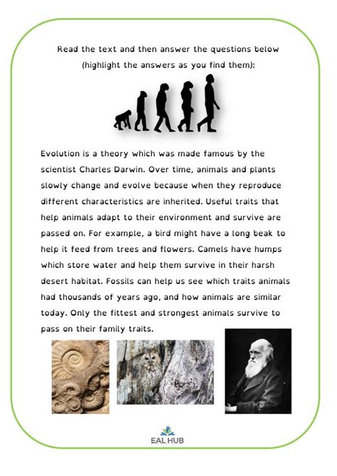 Evolution Comprehension Eal Hub